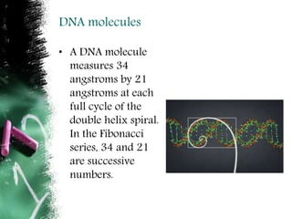 The Nature of Mathematics | PPTX