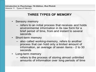 The nature of memory and encoding | PPTX