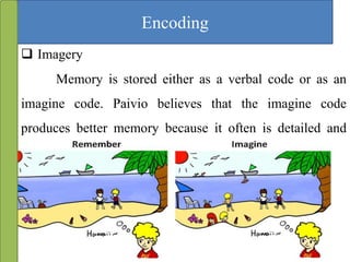 The nature of memory and encoding | PPTX