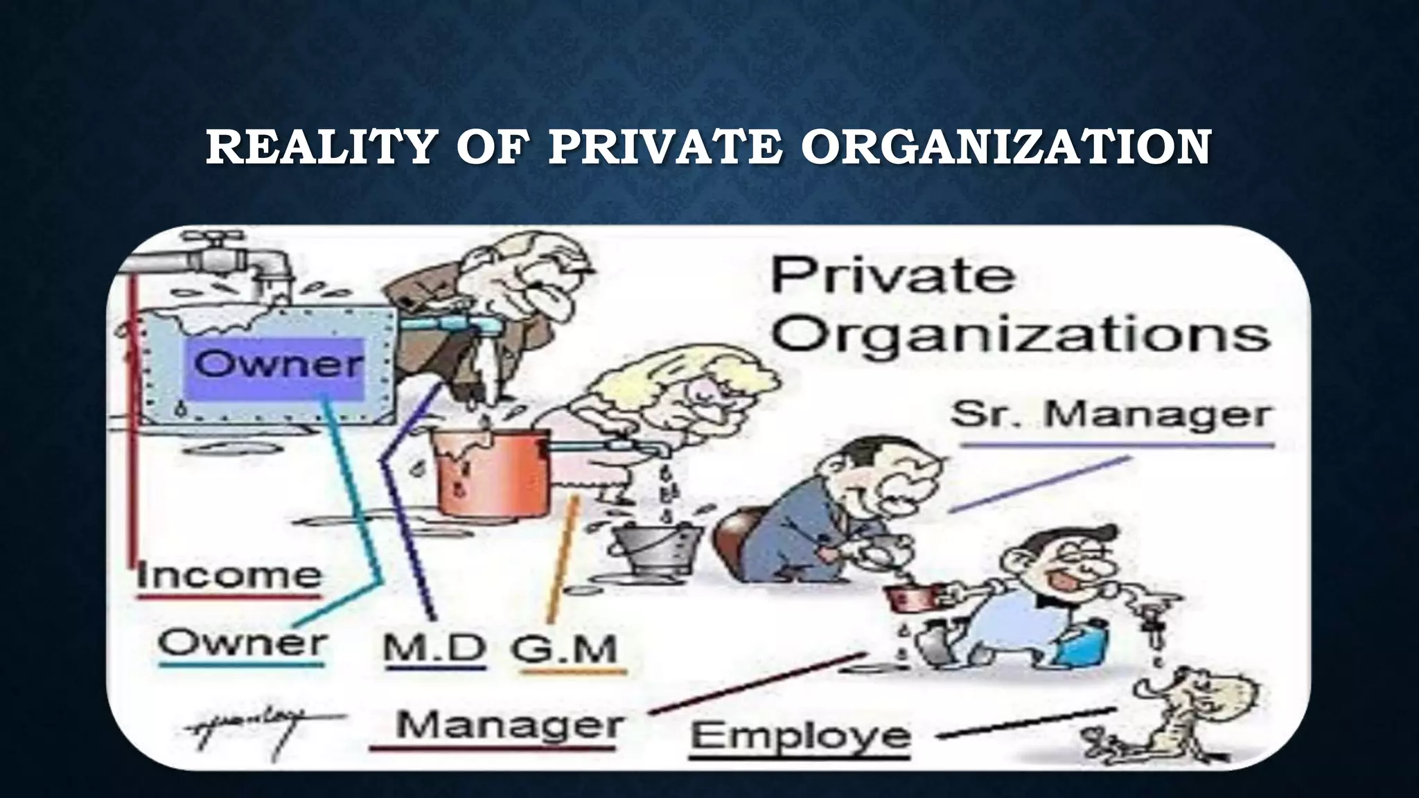 The Nature of Organization ppt | PPTX