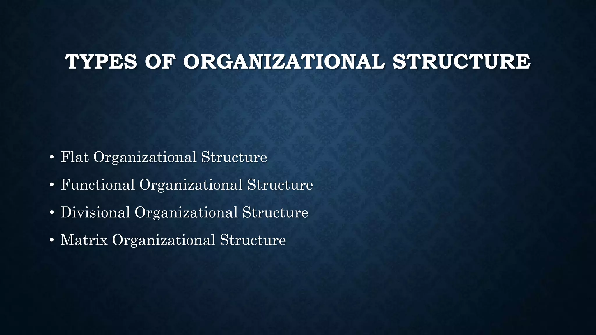 The Nature of Organization ppt | PPTX