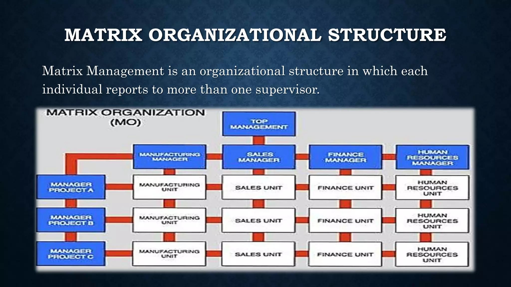 The Nature of Organization ppt | PPTX