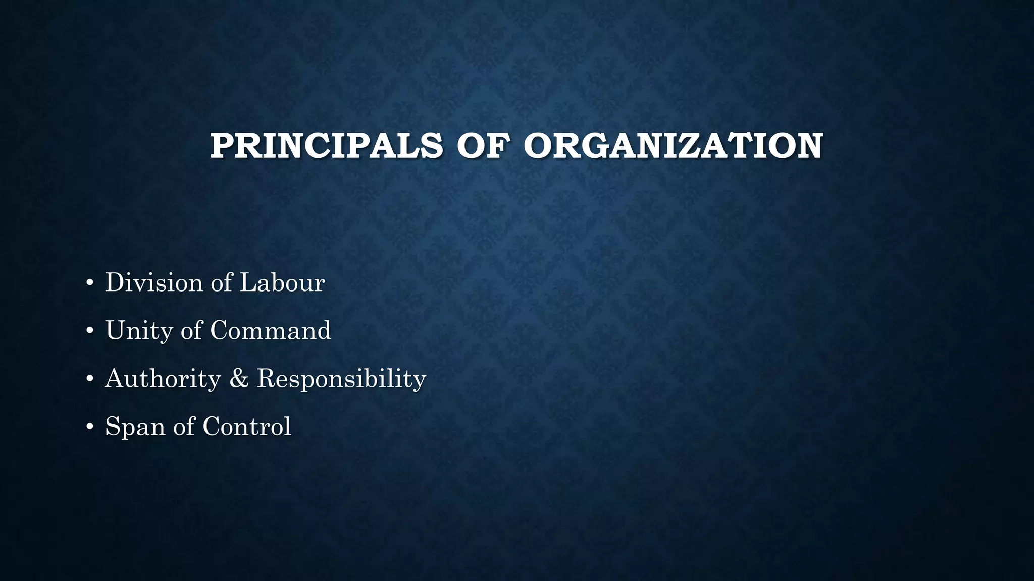 The Nature of Organization ppt | PPTX