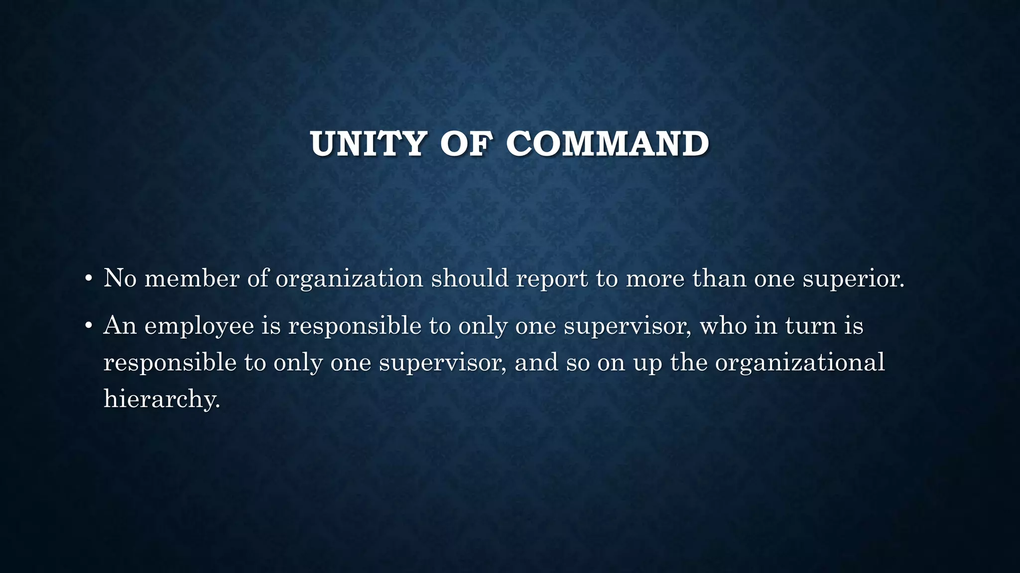 The Nature of Organization ppt | PPTX