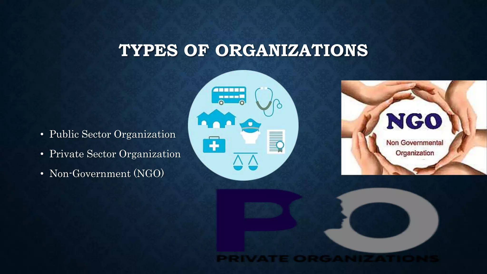 The Nature of Organization ppt | PPTX