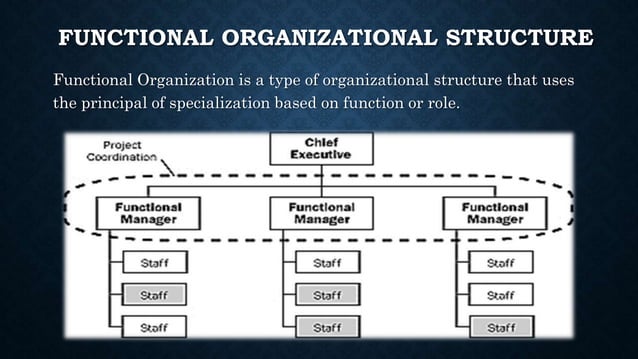The Nature of Organization ppt | PPT