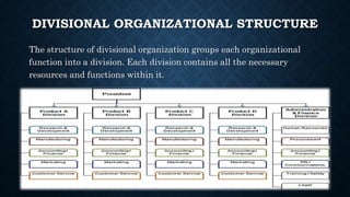 The Nature of Organization ppt | PPTX