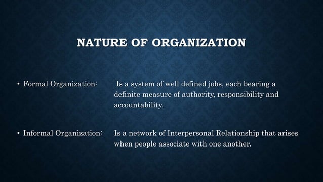The Nature of Organization ppt | PPTX | Business | Business and Finance
