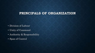 The Nature of Organization ppt | PPTX