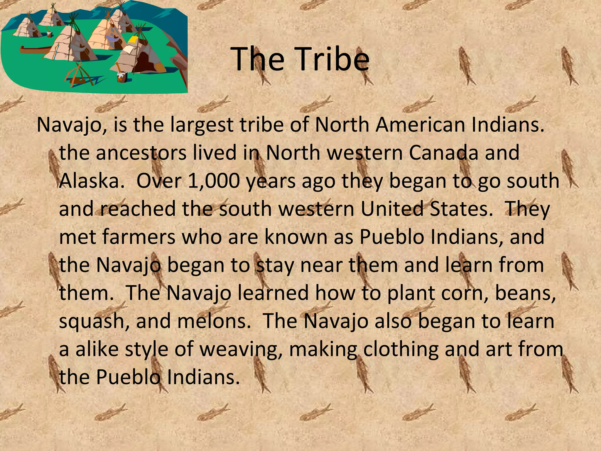 The Navajo Tribe | PPT