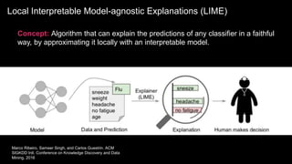 The Need for Explainable AI - Dorothea Wisemann | PPT