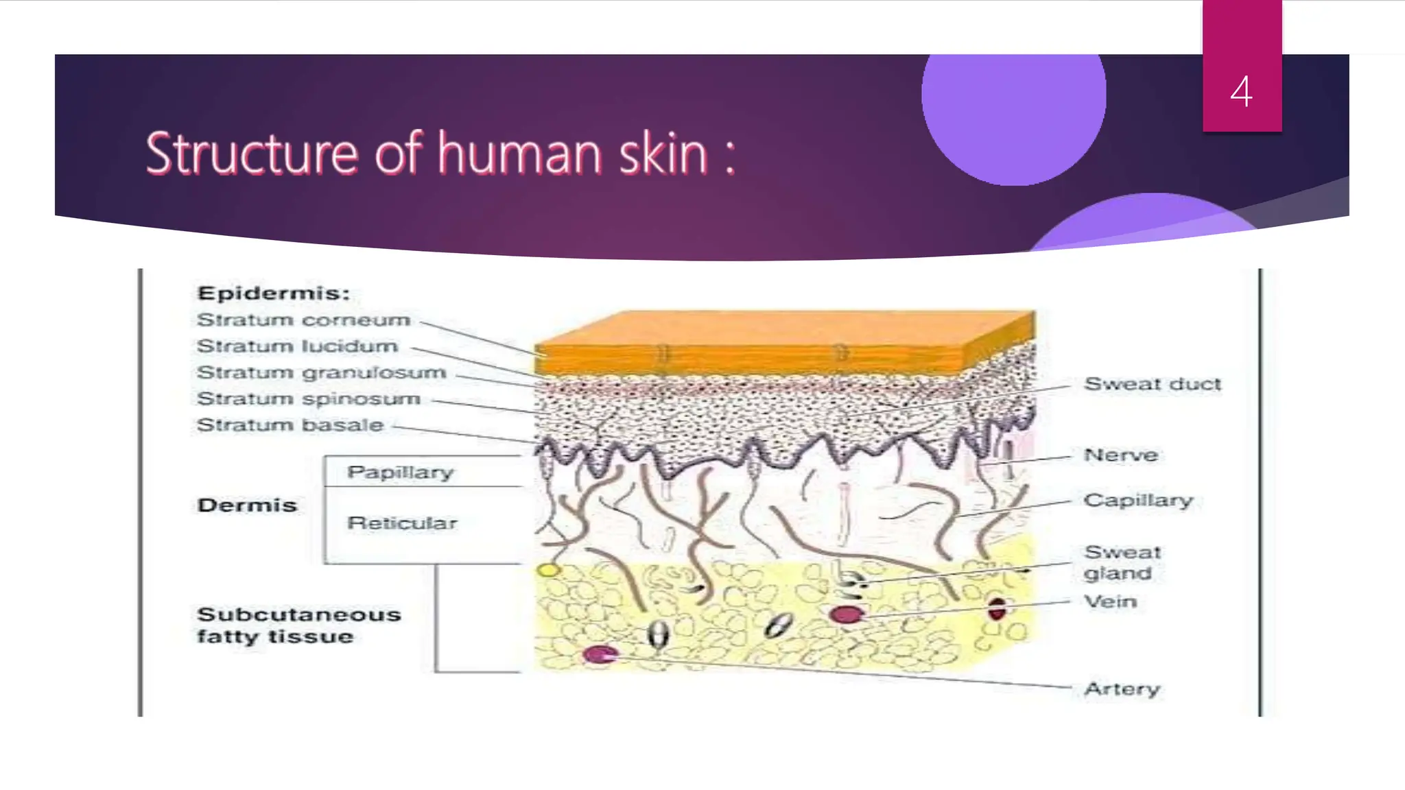 theneedlefreeinjectiontechnology-181030132529.pptx