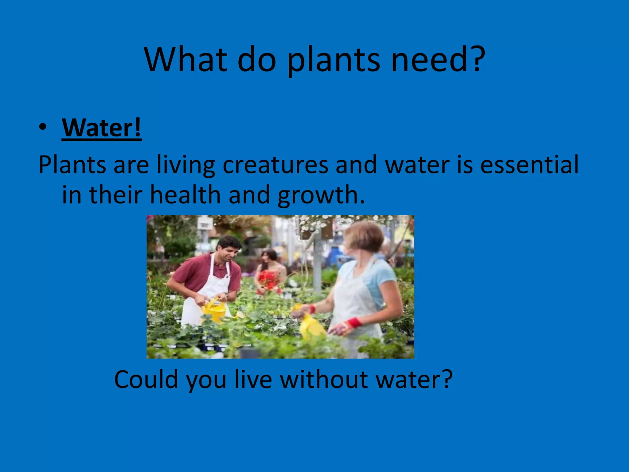 The needs of a plant! | PPTX