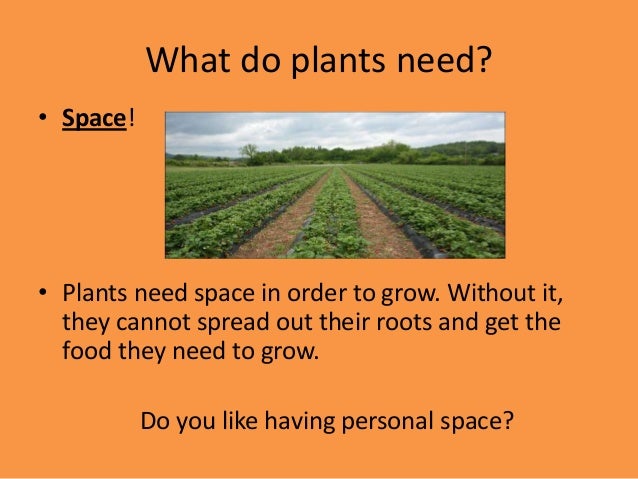 The needs of a plant!