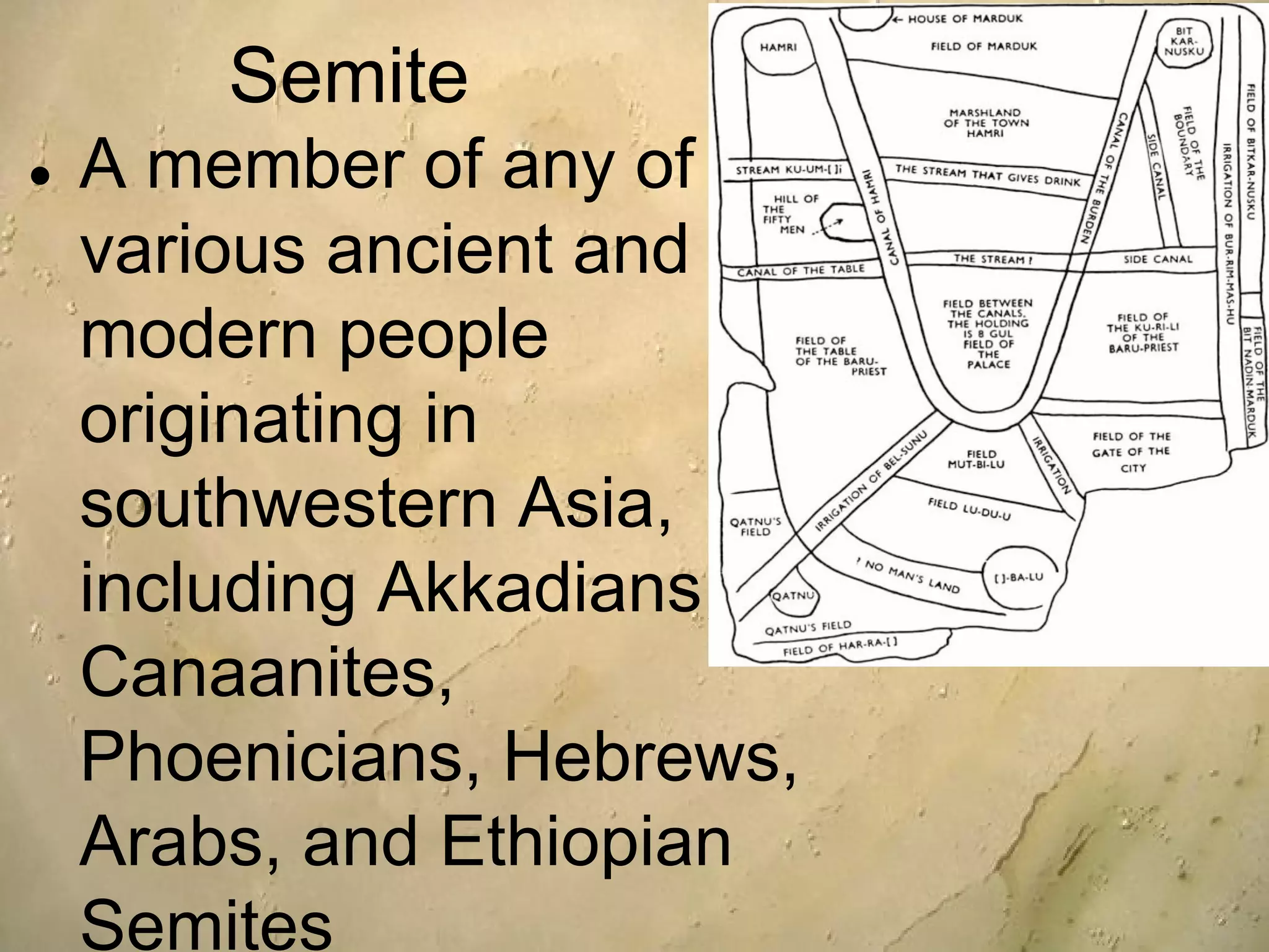 THE NEOLITHIC REVOLUTION AND THE BIRTH OF CIVILIZATION.pdf