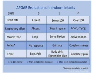 THE NEONATE NEW BALLARD SCORING SYSTEM .pptx
