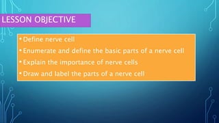 The nerve cell | PPTX