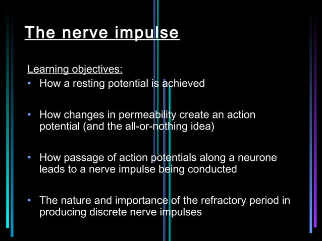 The nerve impulse | PPT