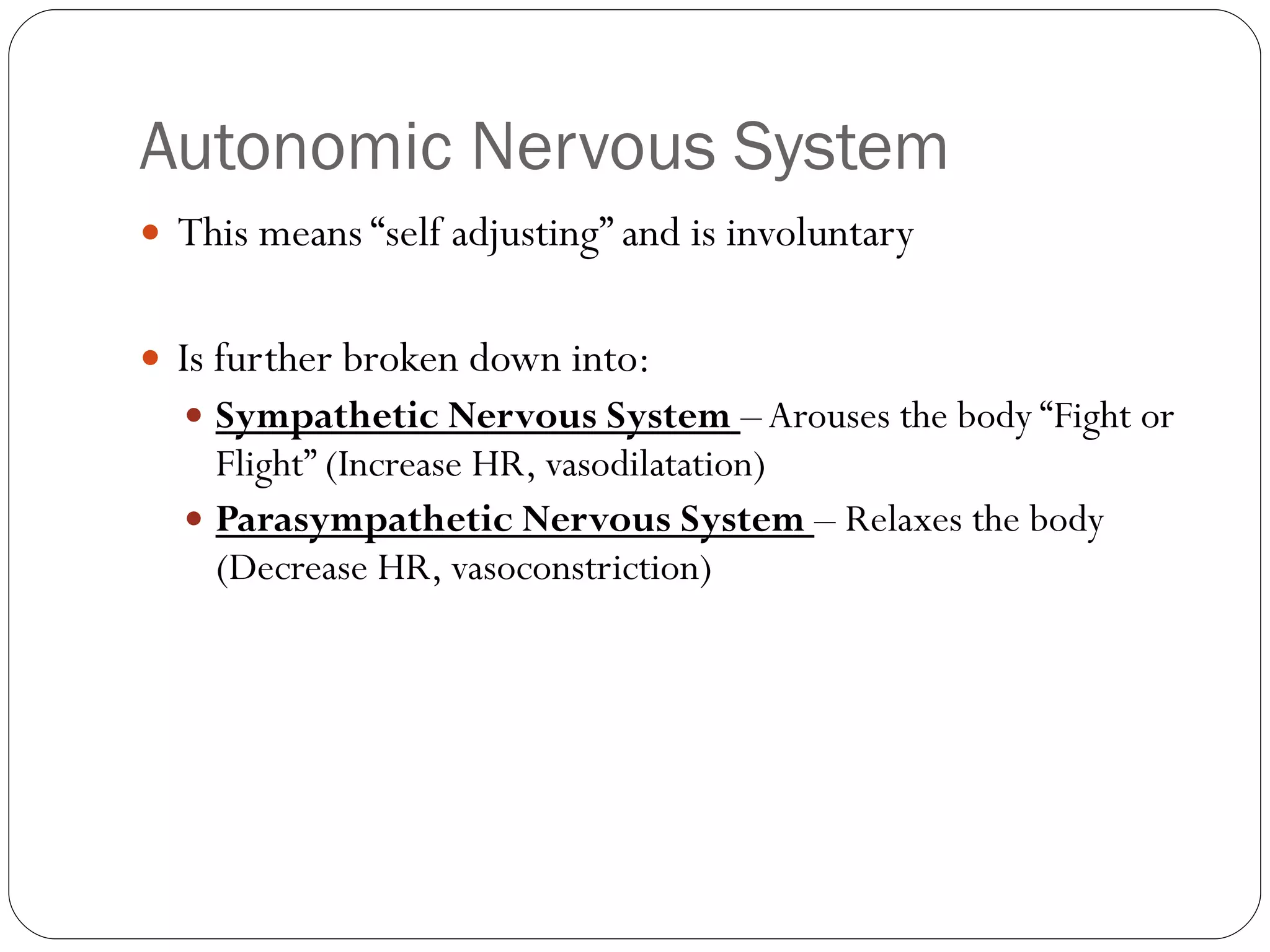 The nervous and endocrine system | PPT