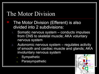 The Nervous System | PPT