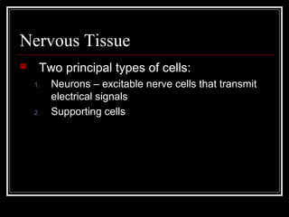 The Nervous System | PPT