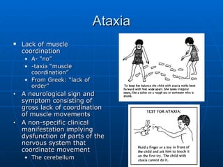 The Nervous System | PPT