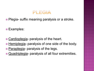 The nervous system | PPTX | Death, Injury, or Military Conflict ...