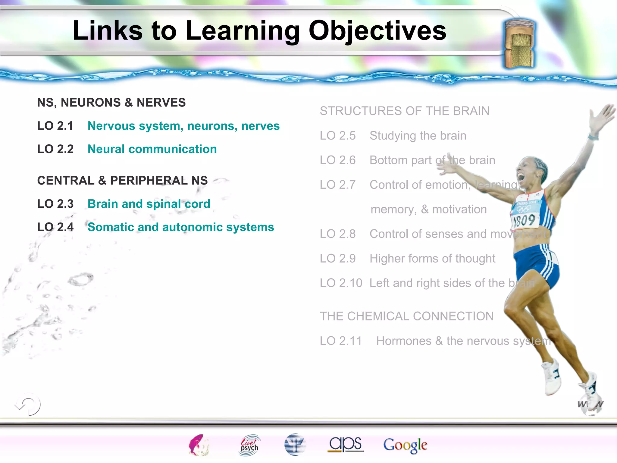 The Nervous System | PPT