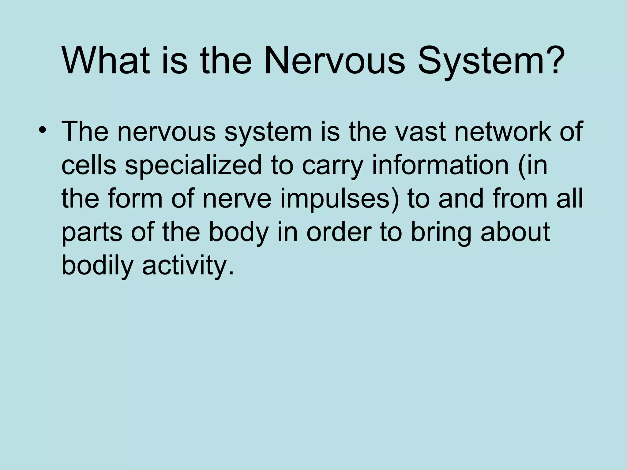 The nervous system | PPT