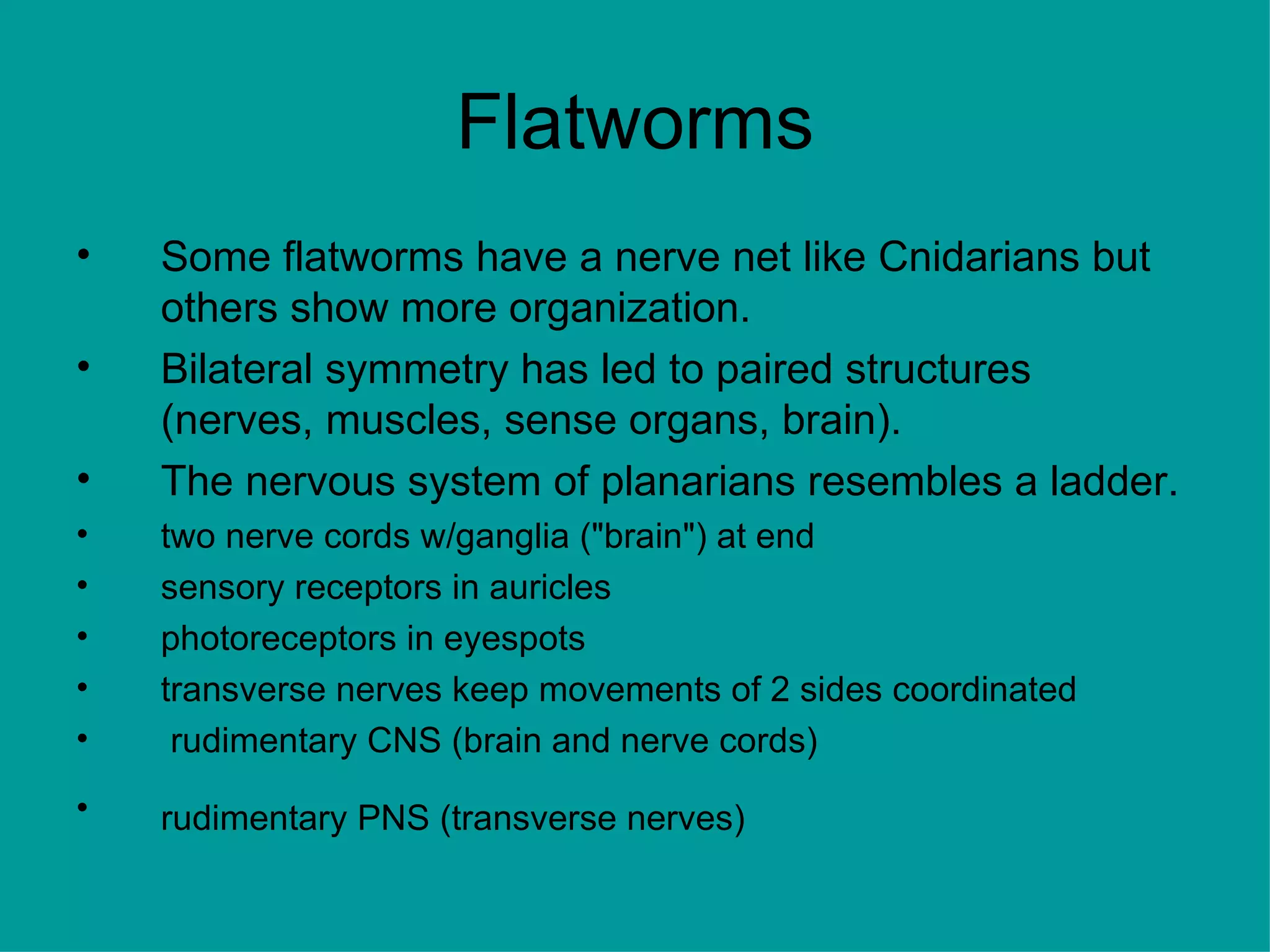 The nervous system | PPT