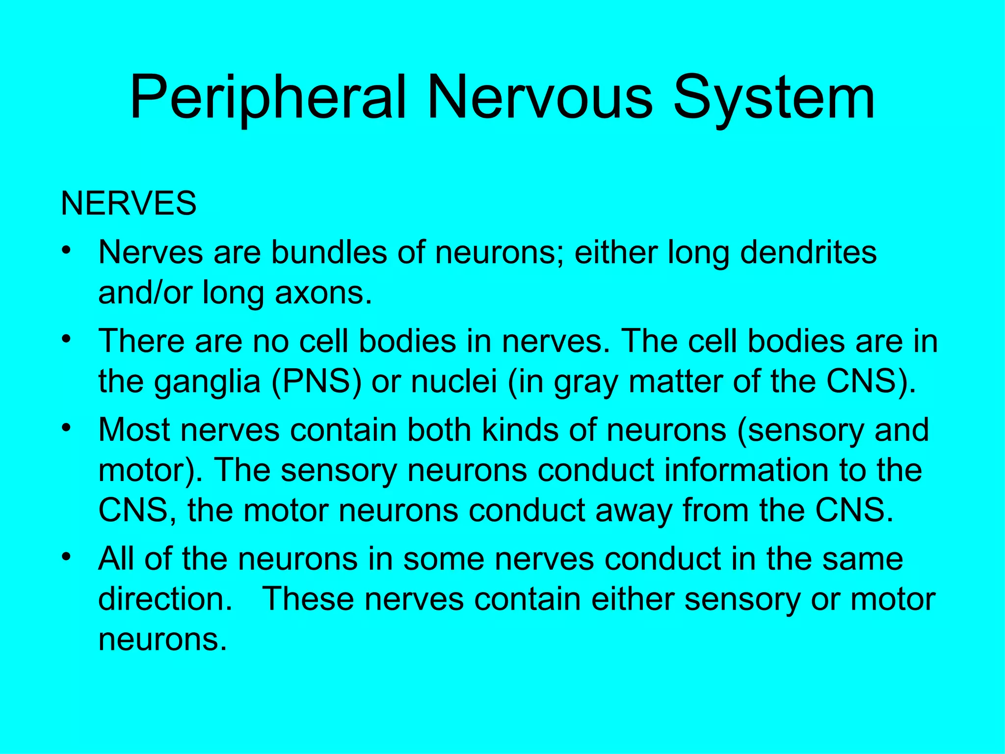 The nervous system | PPT