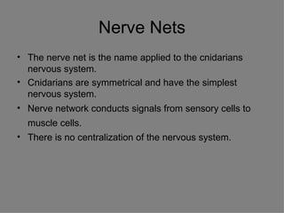 The nervous system | PPT