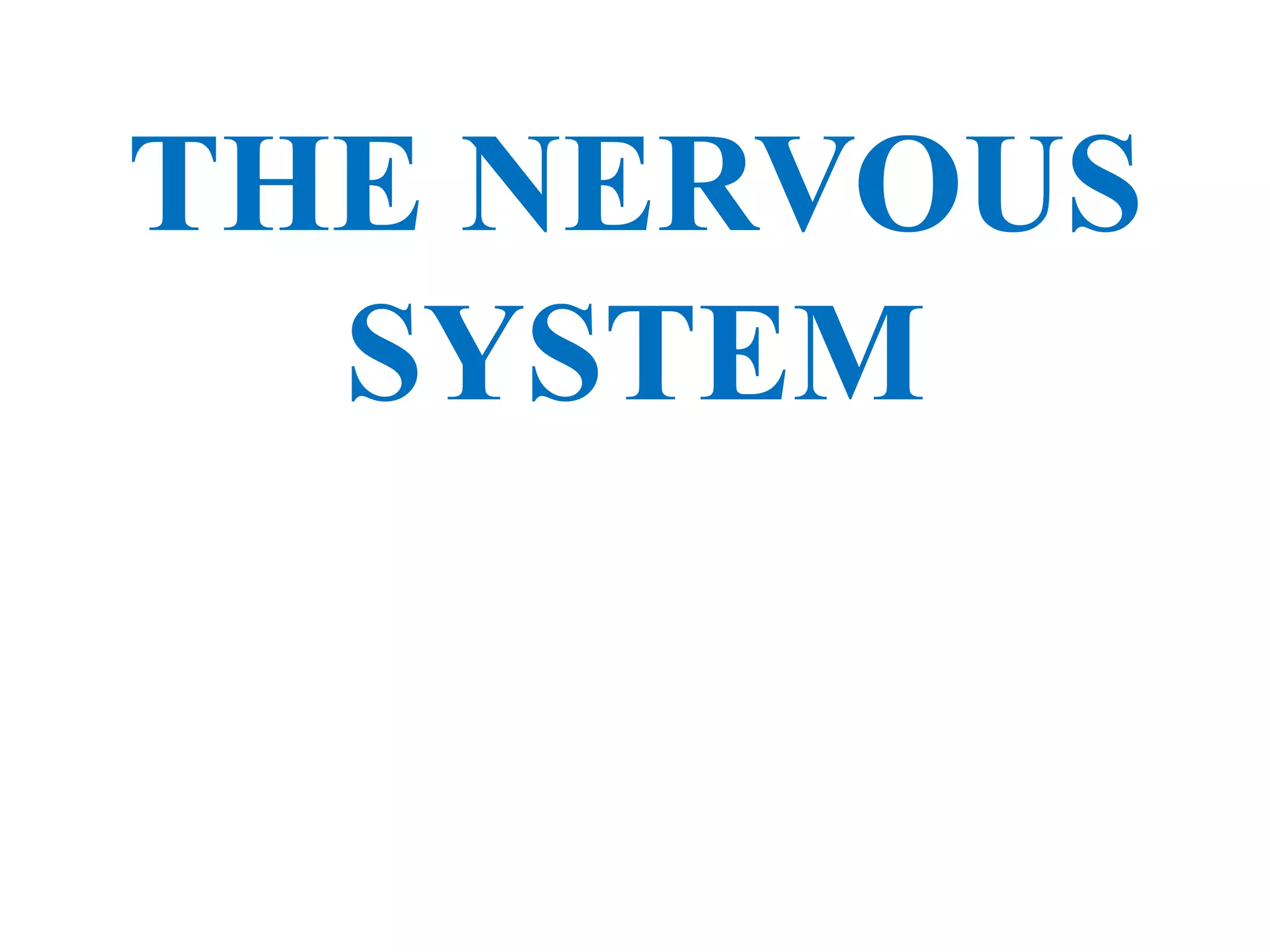 The nervous system | PPTX