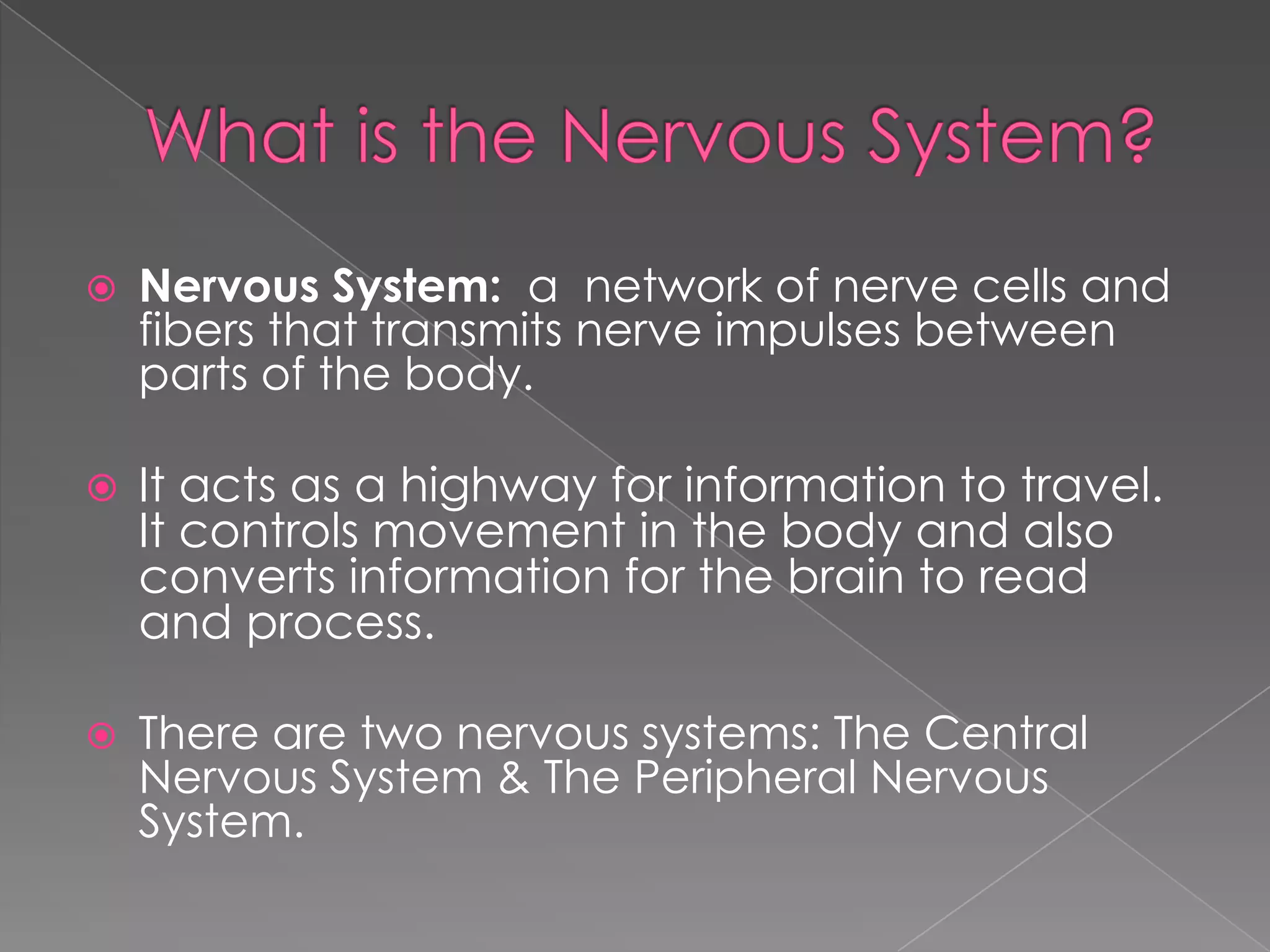 The Nervous System - Living Environment/Biology | PPTX