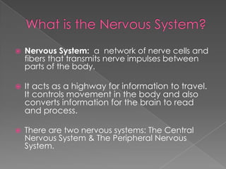The Nervous System - Living Environment/Biology | PPTX