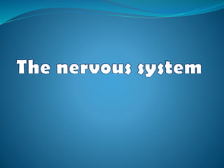 The Nervous System | PPT