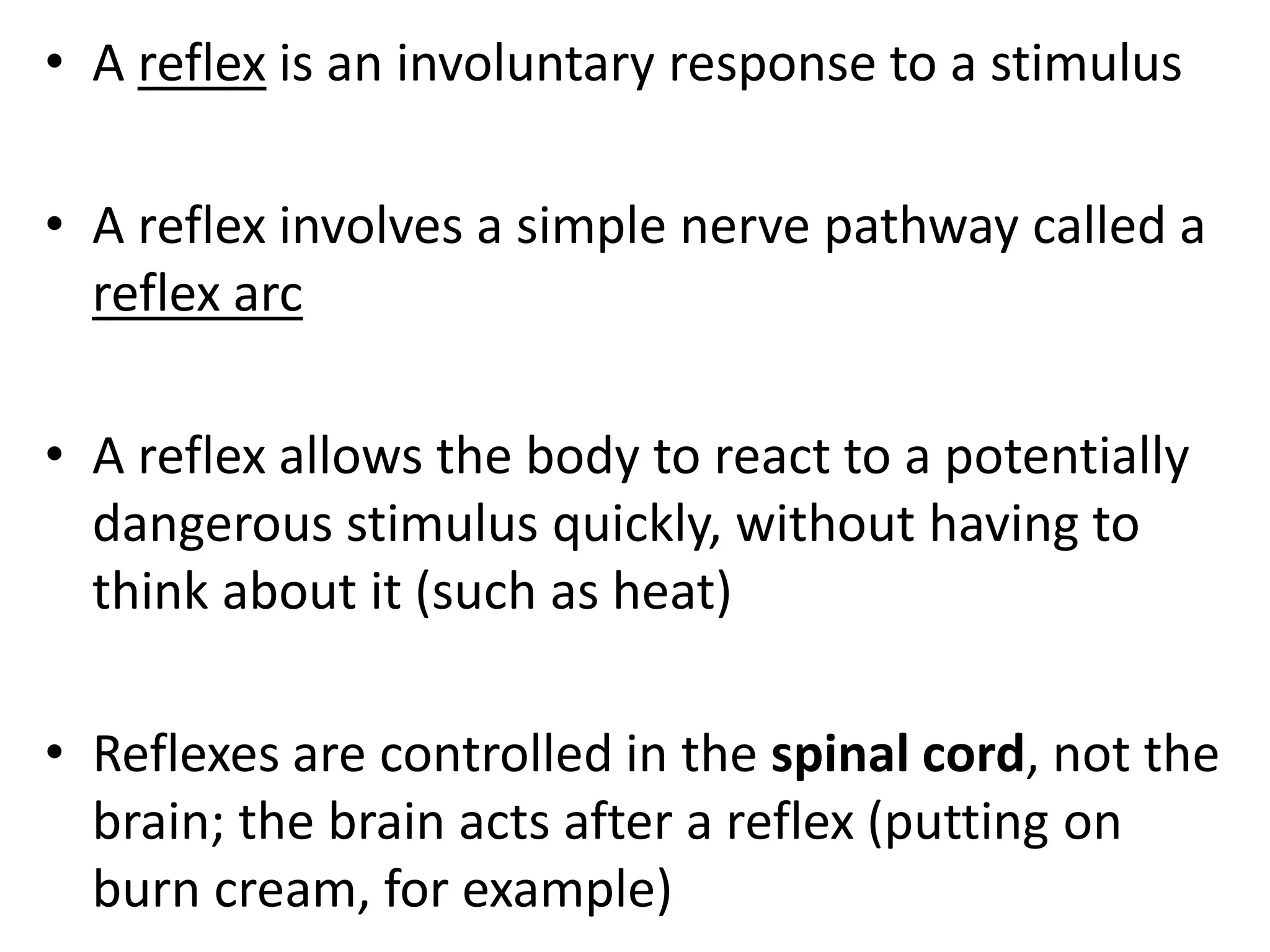 The nervous system | PPTX