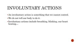 The nervous system | PPT