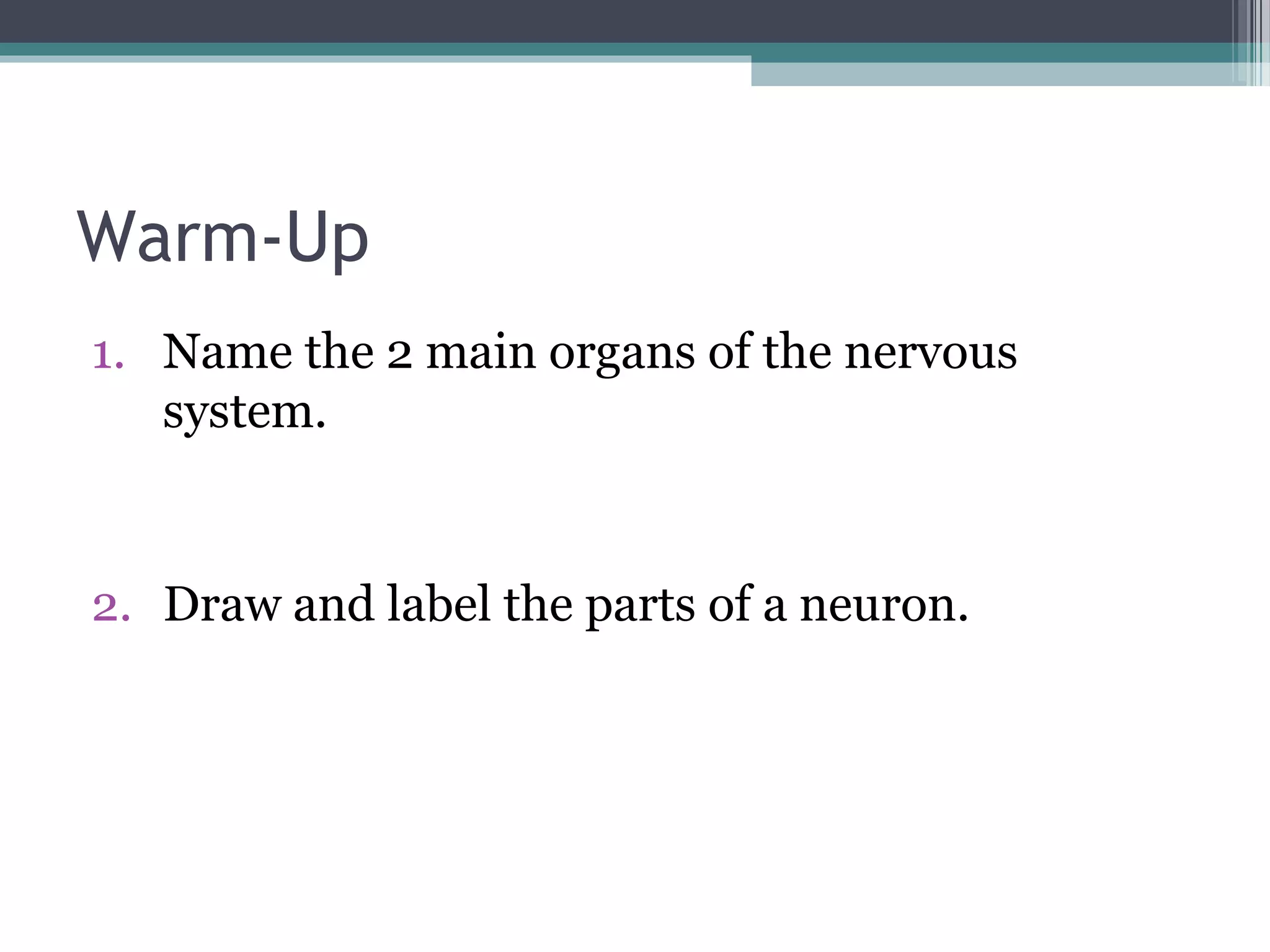 Anatomy & Physiology Lecture Notes - The nervous system | PPT