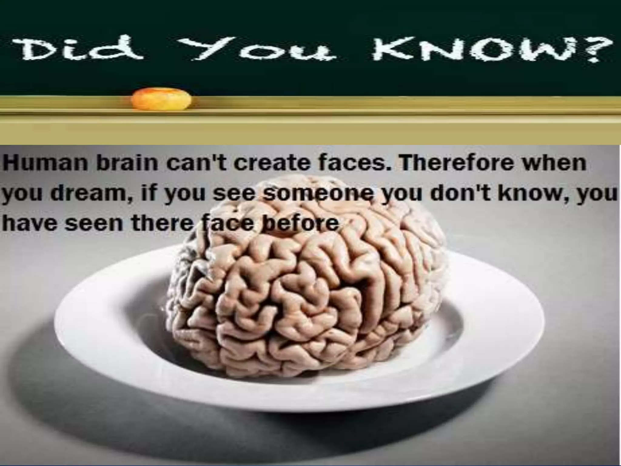 The nervous system, Its Types, The Human Brain, Functions And fun facts ...