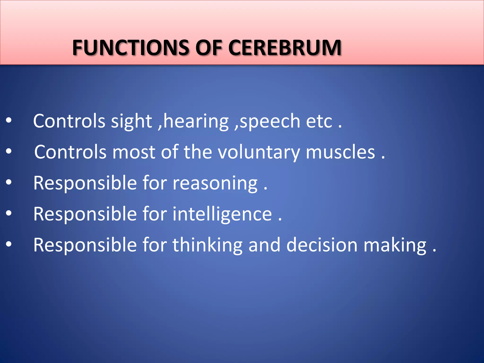 The nervous system, Its Types, The Human Brain, Functions And fun facts ...