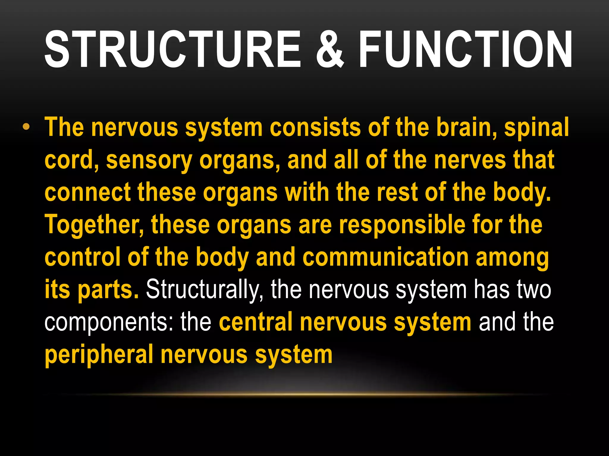 The nervous system | PPT