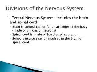 The nervous system | PPTX