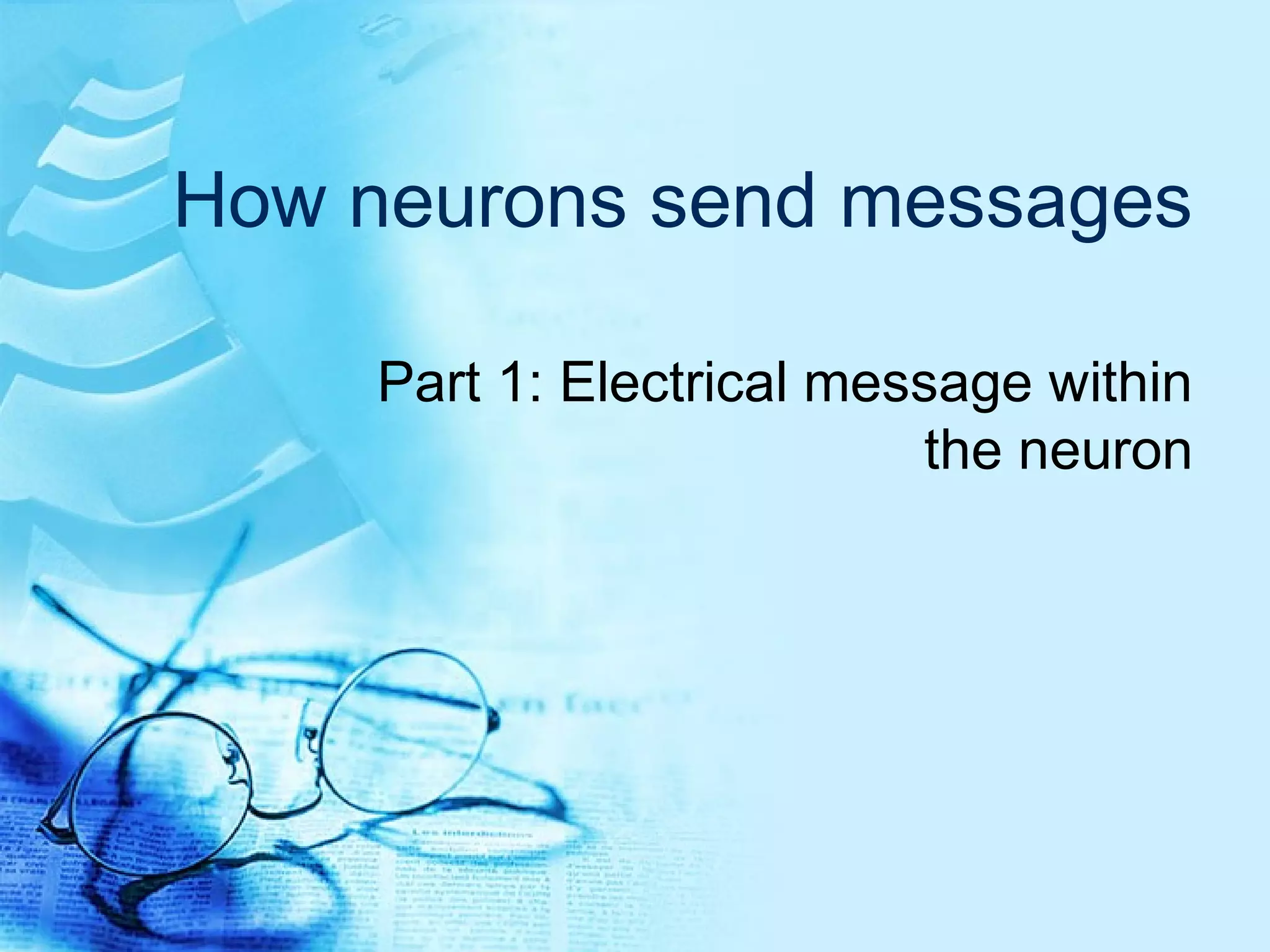 The nervous system | PPT