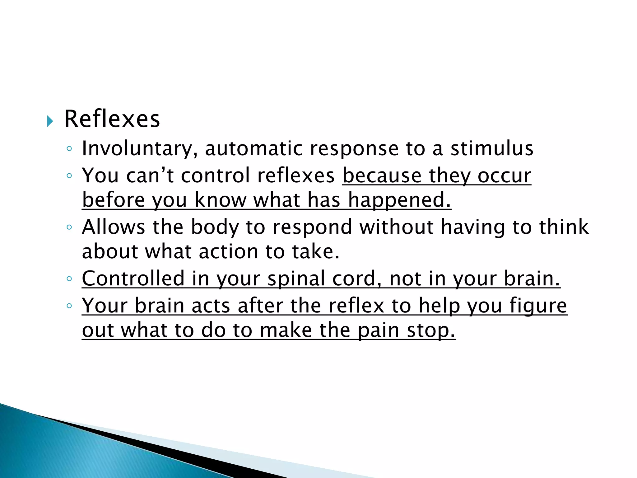 The nervous system | PPTX