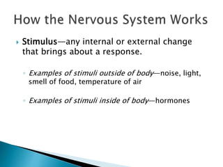 The nervous system | PPTX
