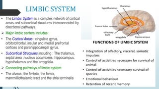 The nervous system | PPT