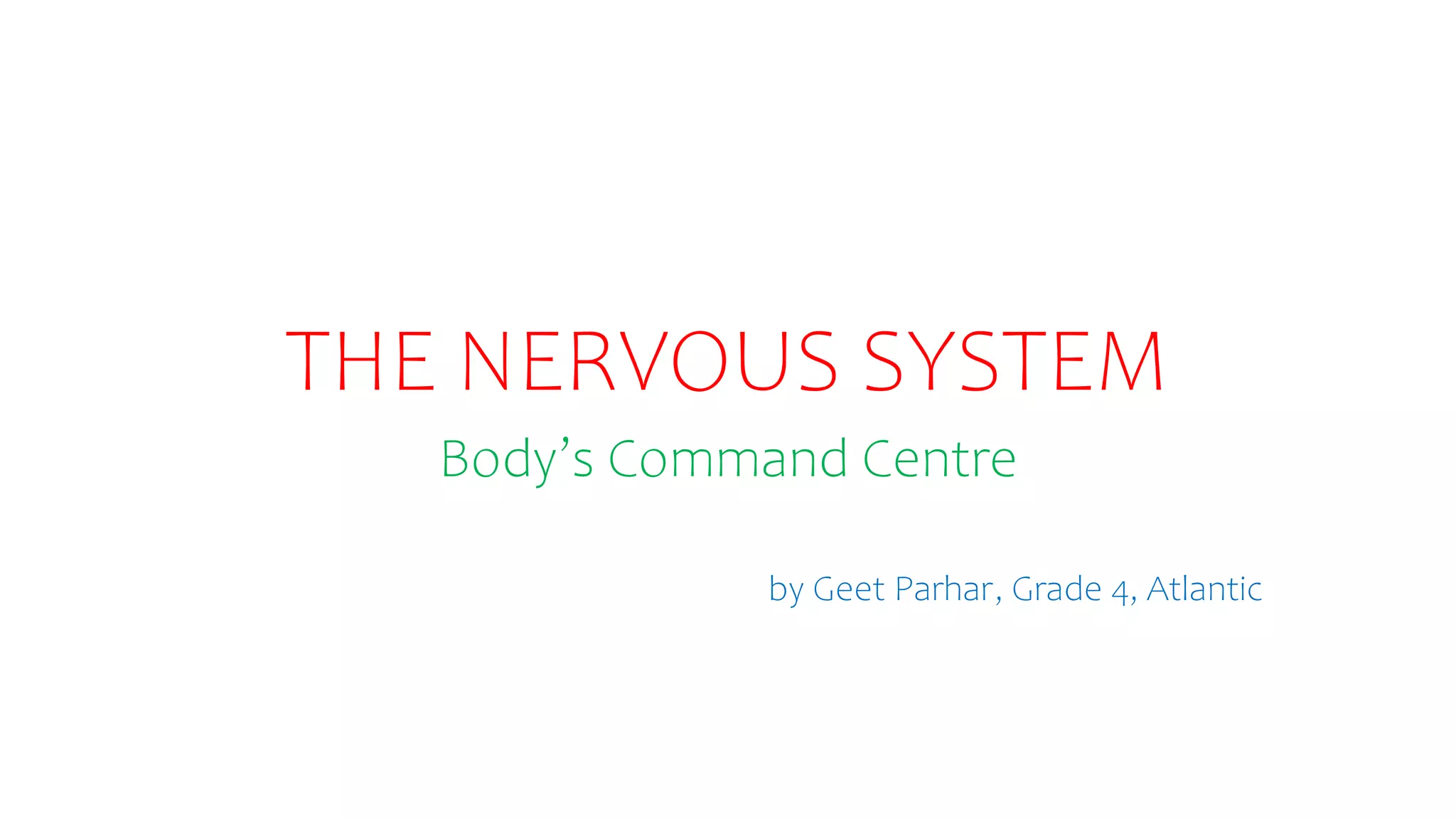 THE NERVOUS SYSTEM.pptx | Brain and Nervous System Disorders | Diseases ...
