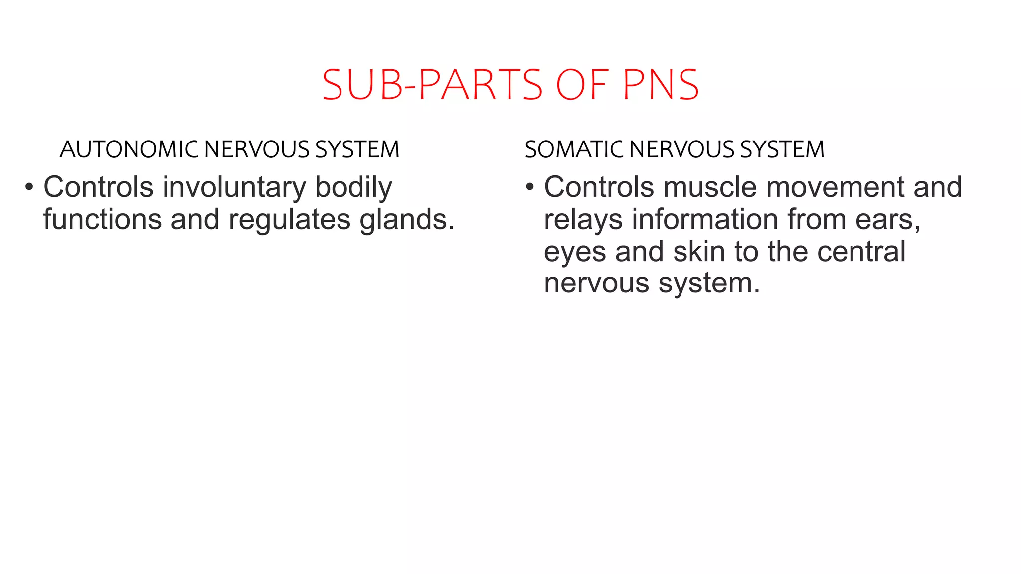 THE NERVOUS SYSTEM.pptx | Brain and Nervous System Disorders | Diseases ...