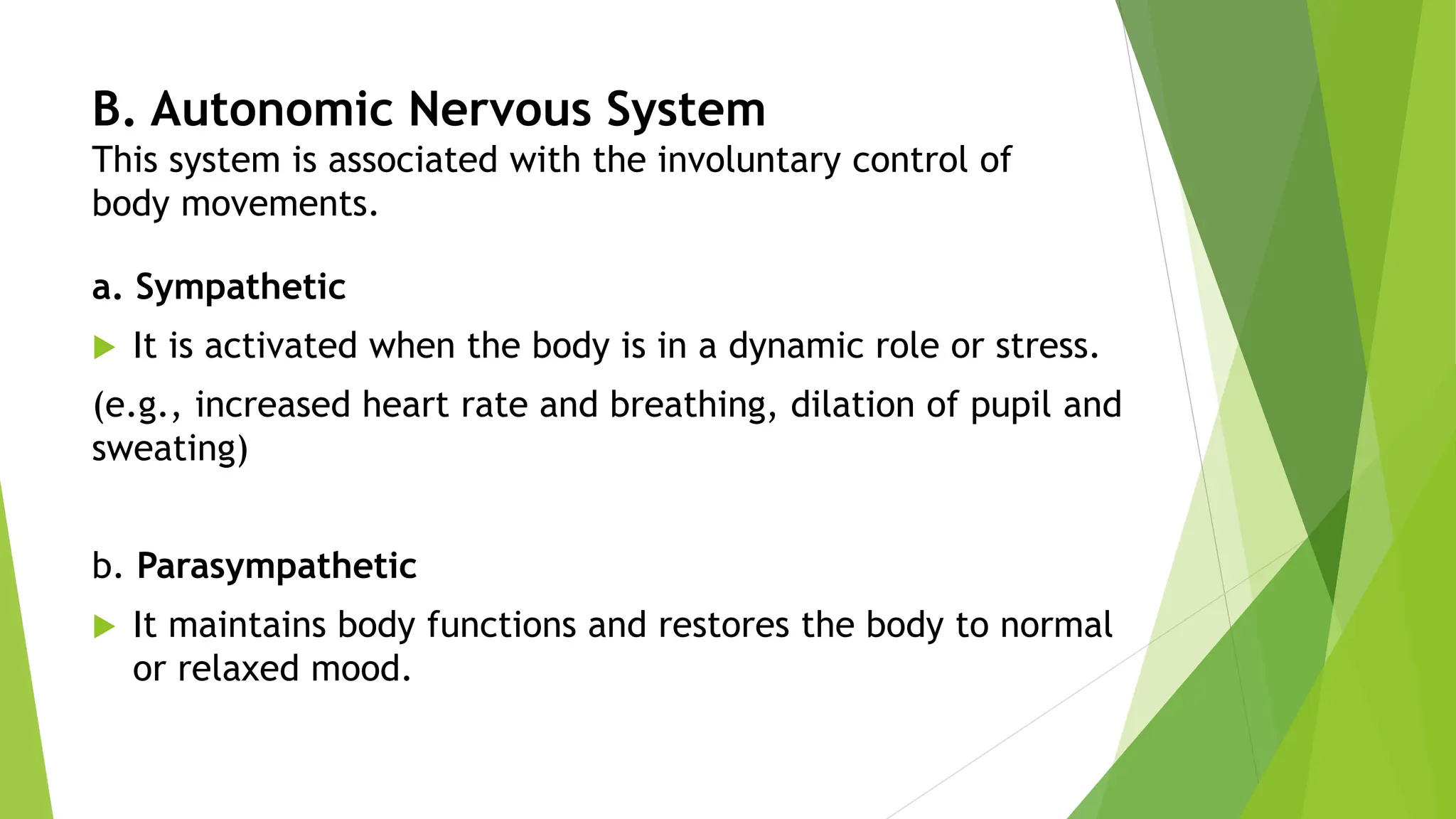 The Nervous System Science 10 lesson for third quarter.pptx